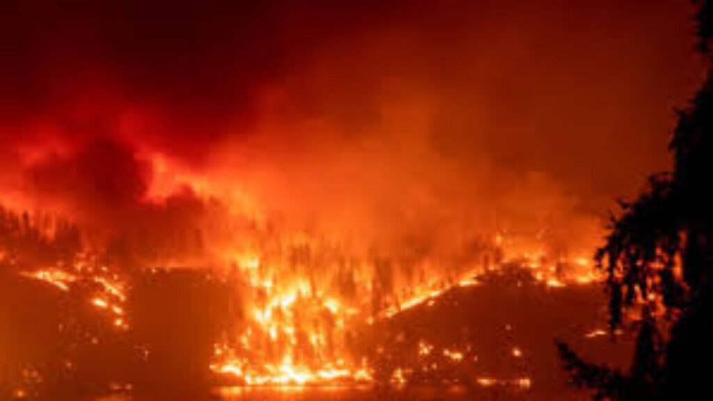Gov. Newsom Seeks $40B in Federal Aid for California Wildfire Recovery ...